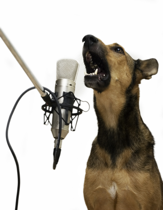 Opera Singing Dog