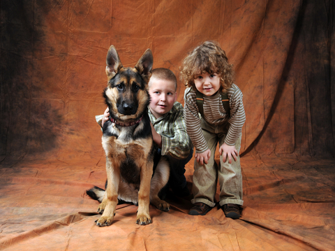 Tuesday’s Top Ten: Why Dogs are Better Than Kids | Doggies.com Dog Blog