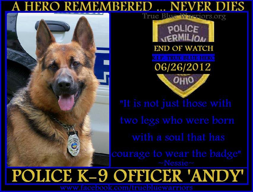 True Blue Warriors | Doggies.com Dog Blog