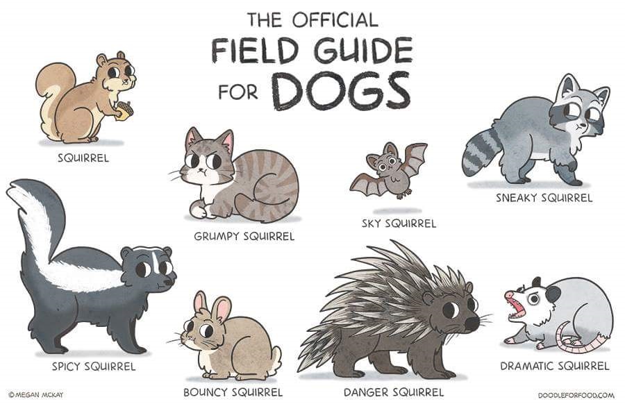 field guide | Doggies.com Dog Blog