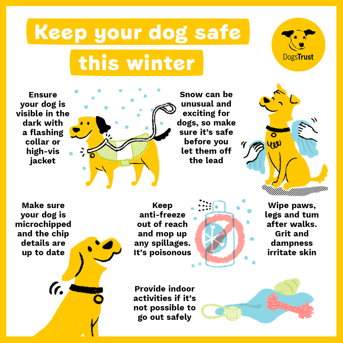 Dog Safety Doggies Dog Blog Dog Safety Doggies Dog Blog